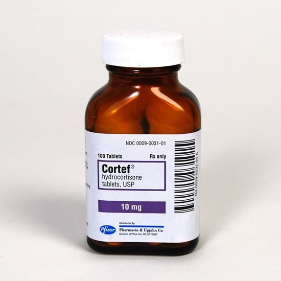 Cortef®, 10mg, 100 Tablets/Bottle | McGuff
