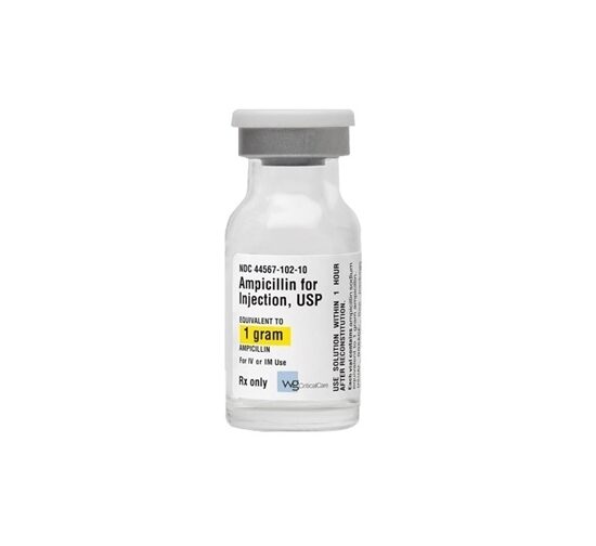 Ampicillin Injection 1 g/Vial, Single Dose Vial 10 mL, 10/Tray | McGuff